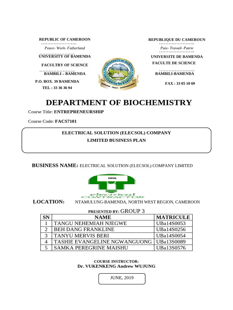 Electrical Solution (Elecsol) Business Plan | PDF