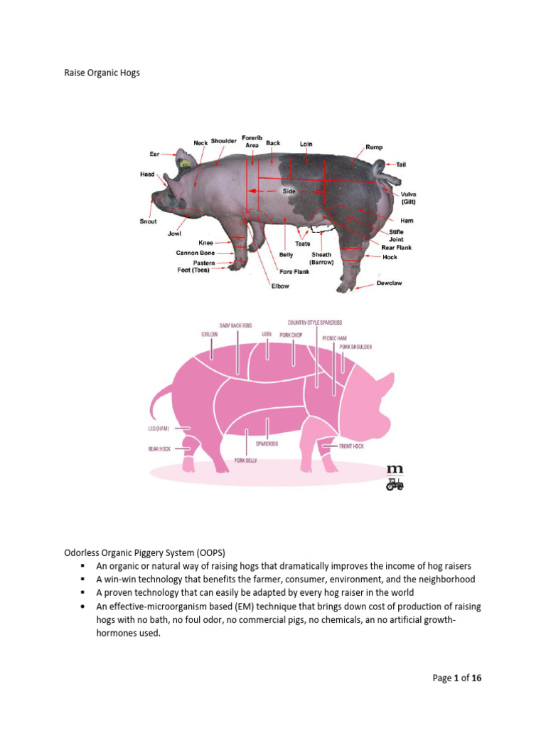 Organic Hogs Raising | PDF