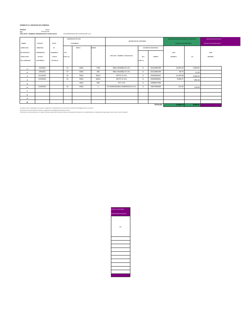 Formato 8.1 Registro de Compras | PDF