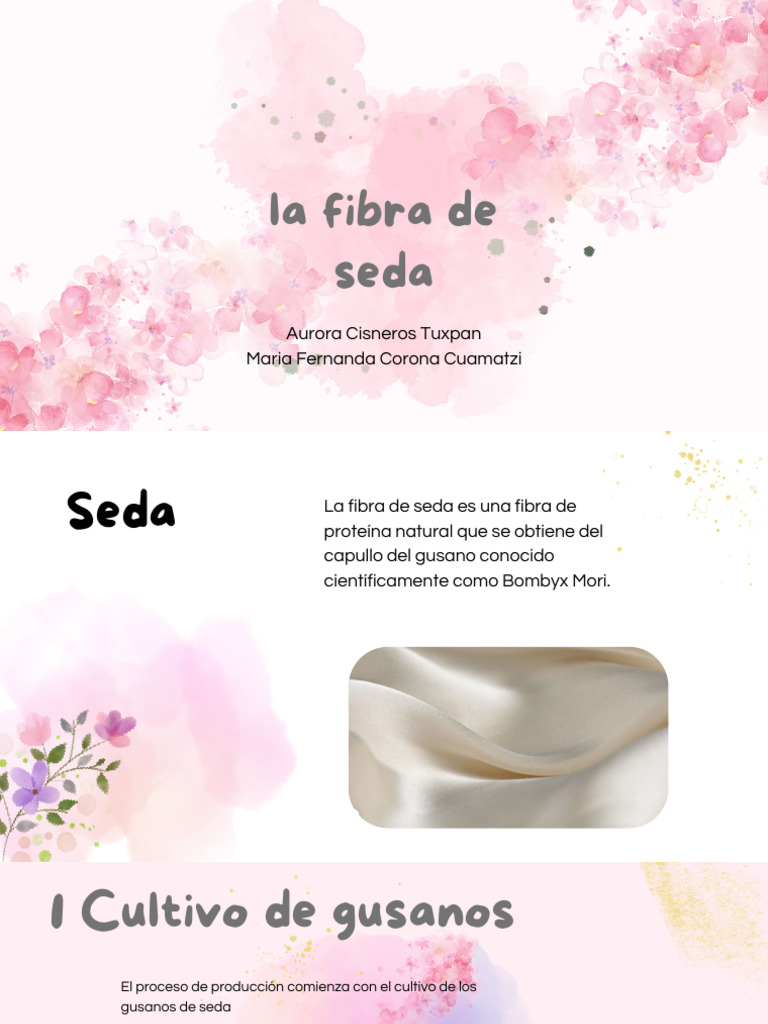 Proceso de Obtencion de La Fibra de Seda | PDF | Seda | Cocina, comidas ...