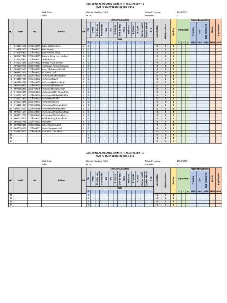 Format Raport ASTS2 2425 IX - A | PDF