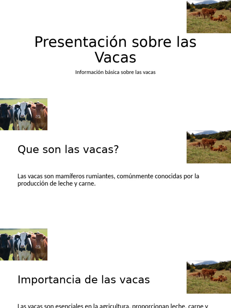 Presentación Sobre Las Vacas | PDF
