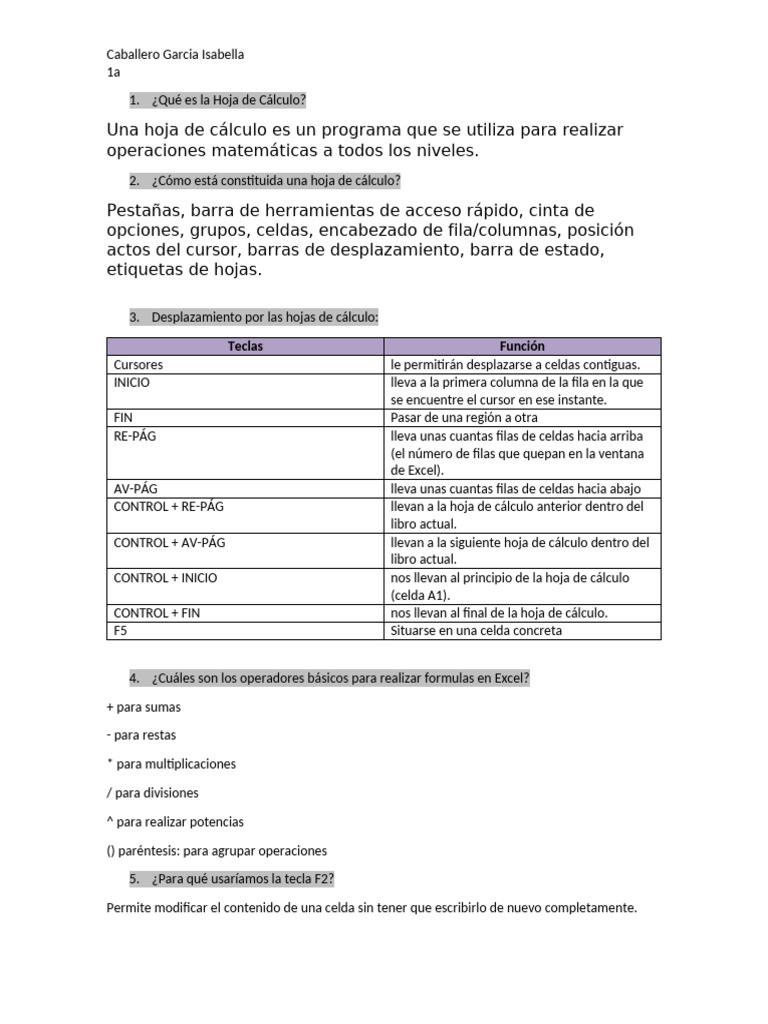 Hoja Calculo | PDF | Computadores