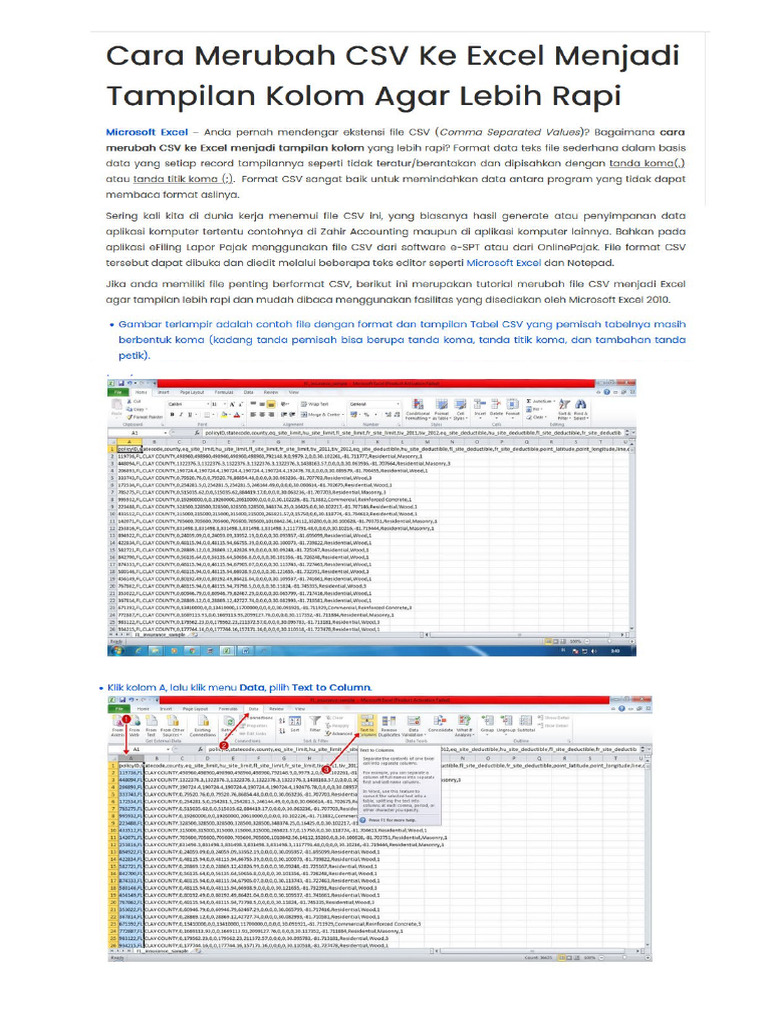 Cara Mengubah CSV Ke Excell | PDF