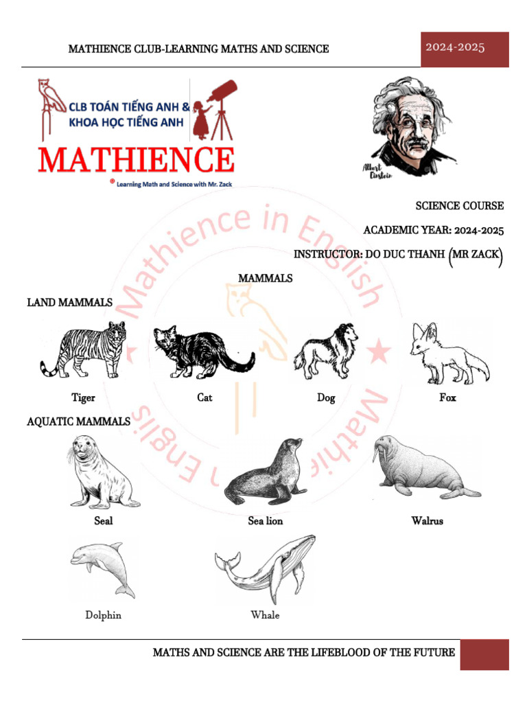 Lesson 10 - Mammals - g2-4 | PDF