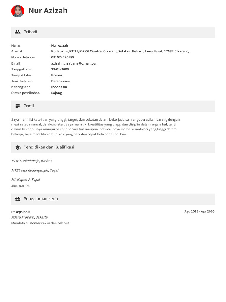 Nur Azizah CV | PDF