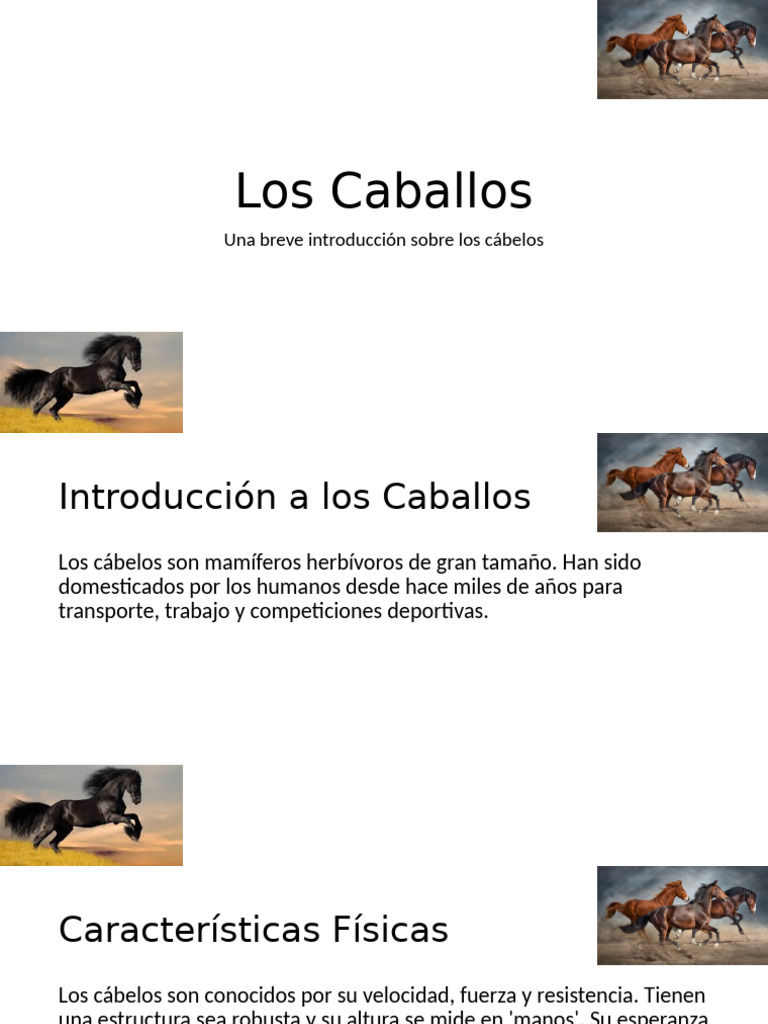 Los Caballos | PDF