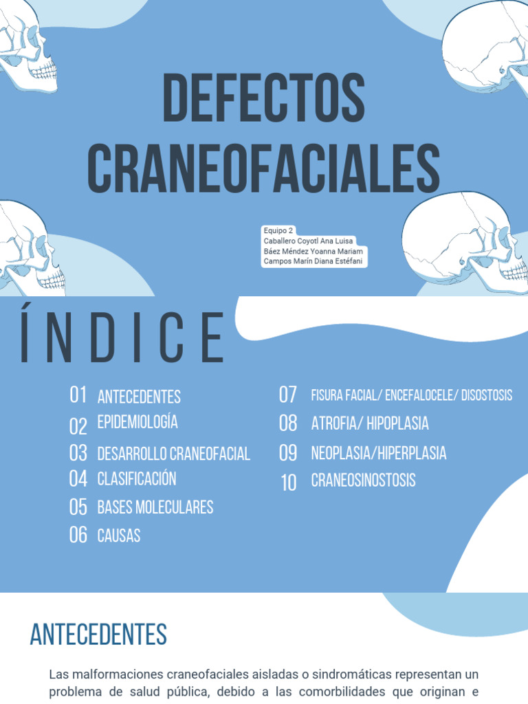 defectos craneofaciales.pdf | PDF