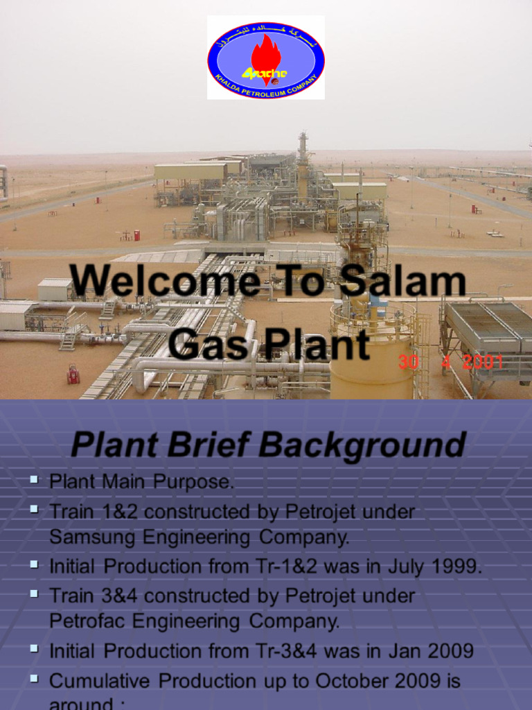 Gas Plant | PDF
