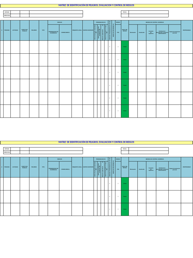 Formato Matriz Ipcr | PDF