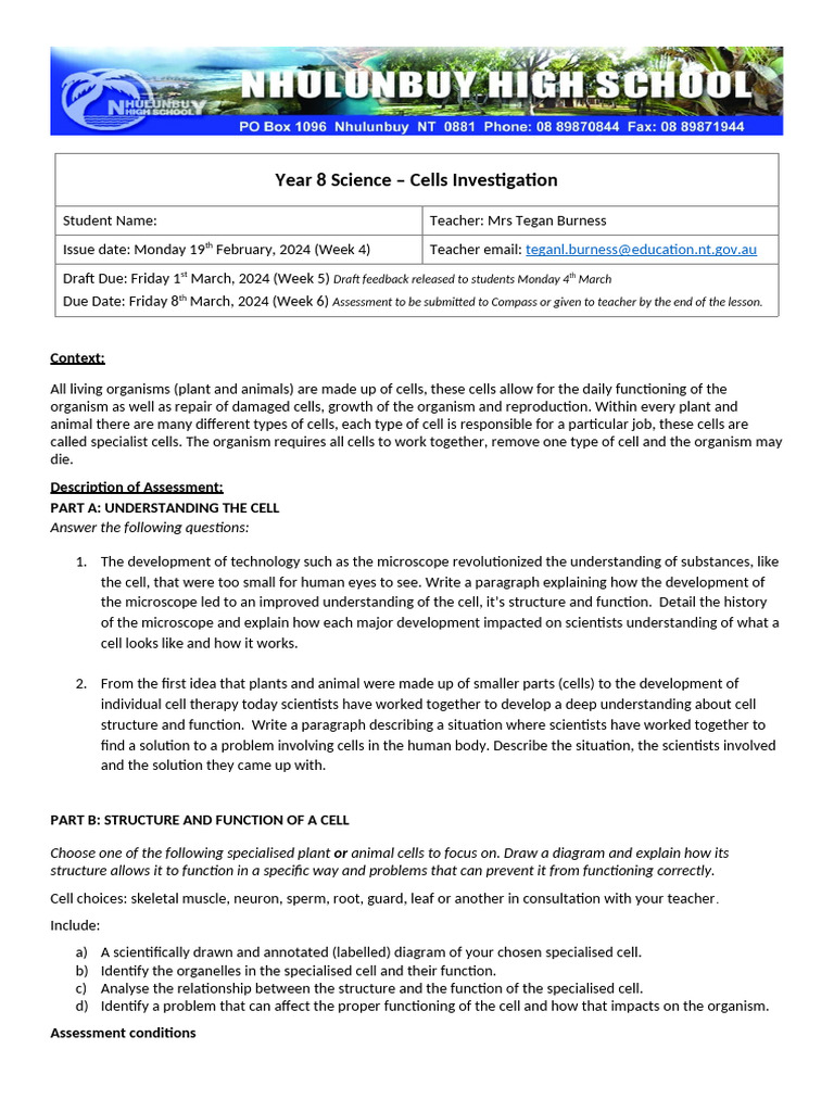 Y8 BIO AT1-Cells Investigation | PDF | Cell (Biology) | Science