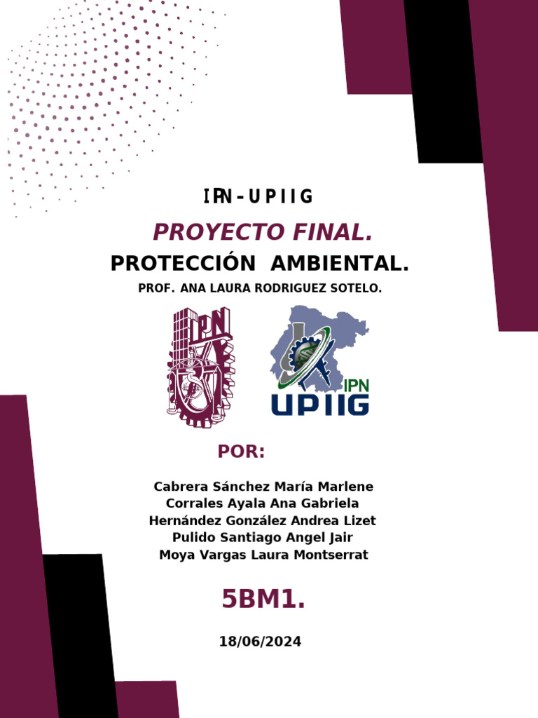 Proyecto Final | PDF Proyecto Final | PDF