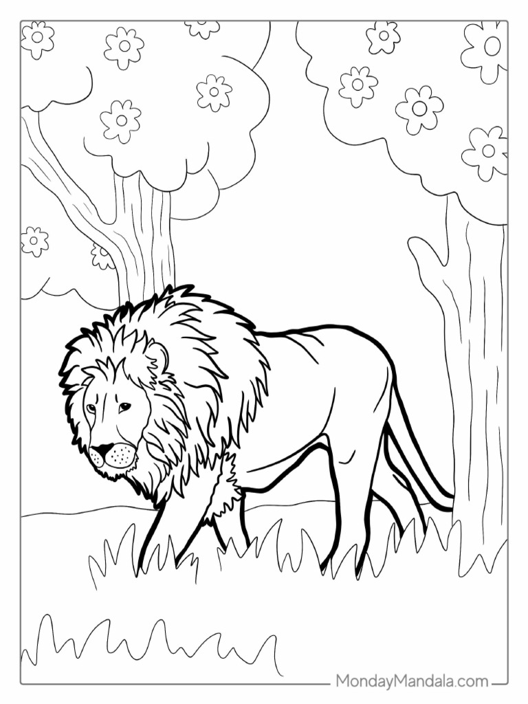 Lion Roaming in Jungle Coloring | PDF