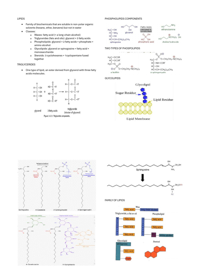 LIPIDS | PDF
