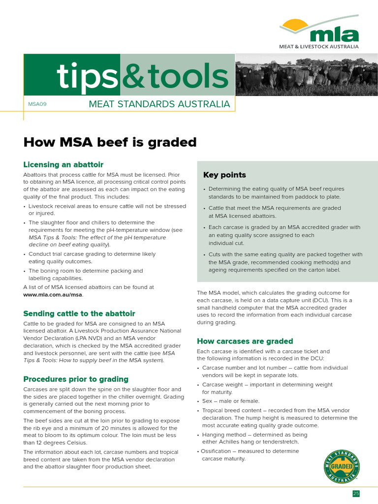 How Msa Beef Is Graded | PDF