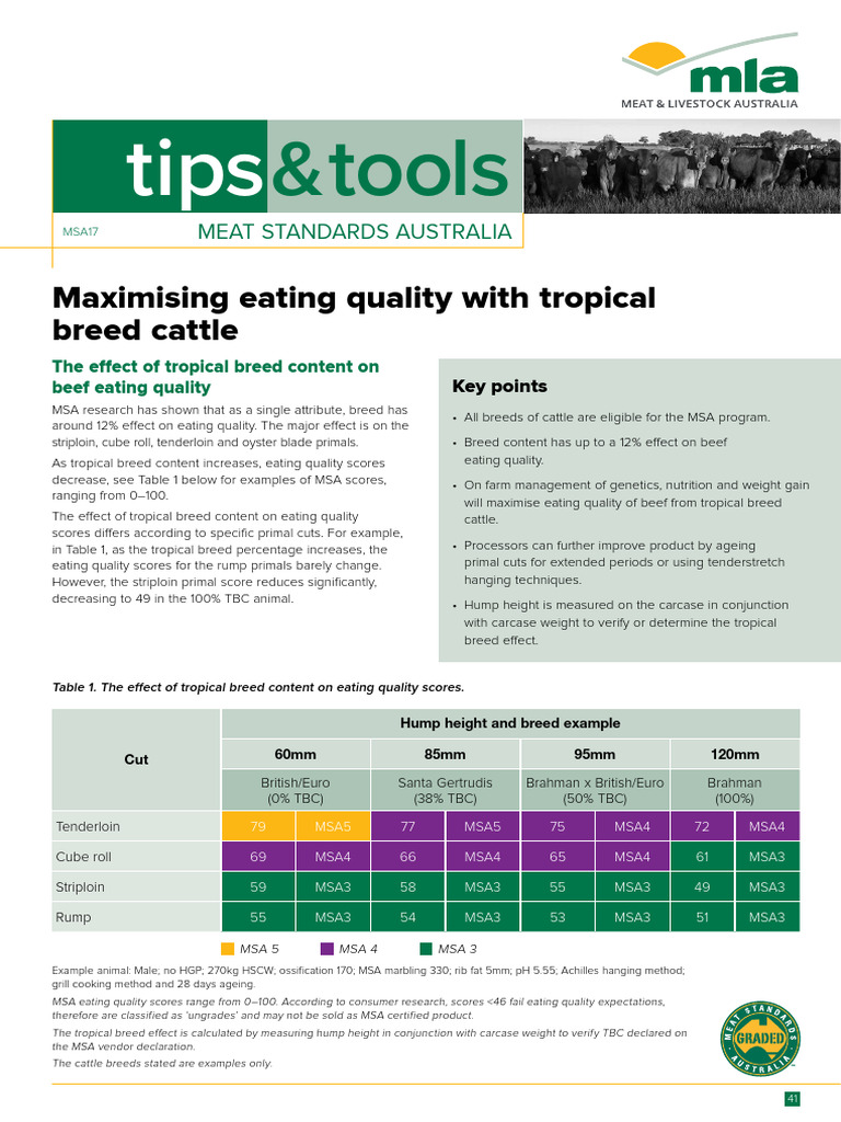 Maximising Eating Quality | PDF