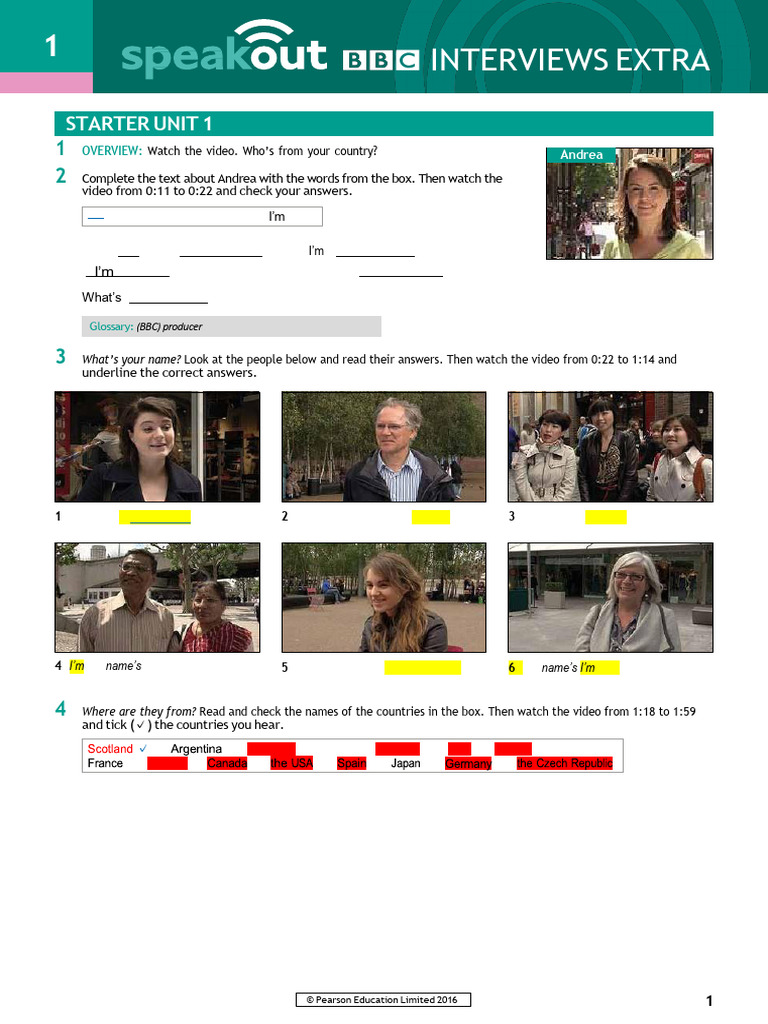 SO ST U1 Interviews Worksheet RESULTS | PDF