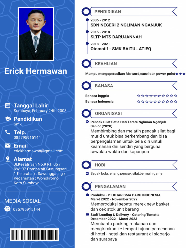 CV Erick Hermawan | PDF