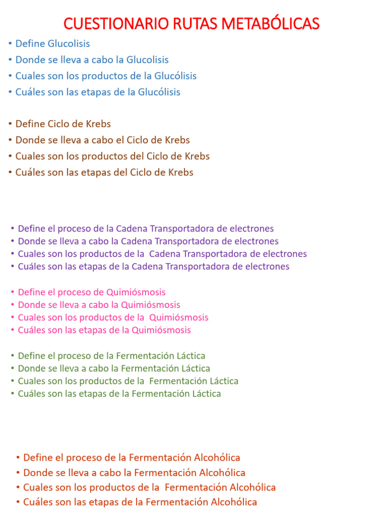 CUESTIONARIO RUTAS METAB-LICAS EXPOSICIONES | PDF