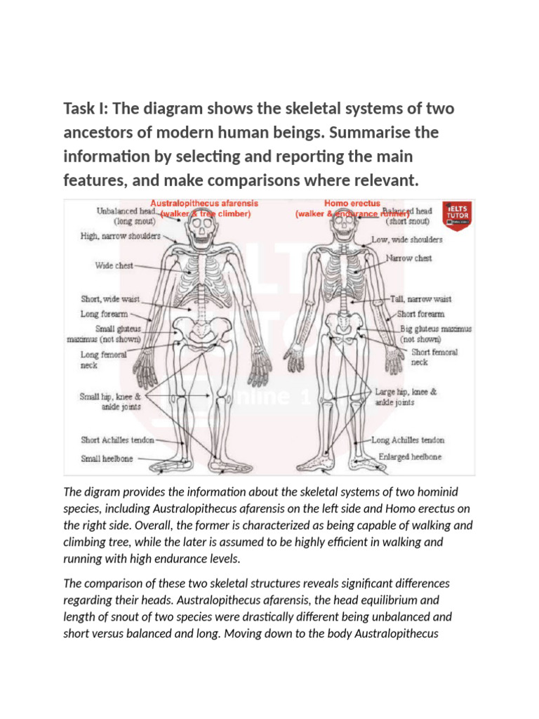 task 1 dị and acutal test 23.08 | PDF