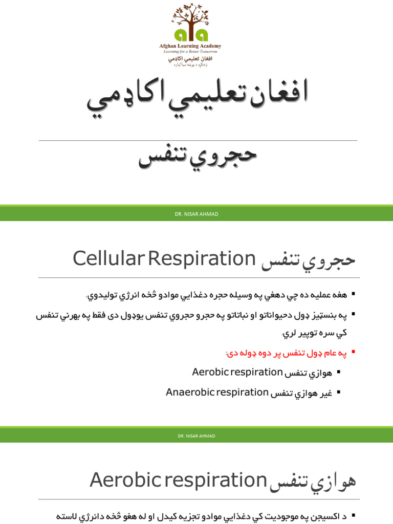 5 Cellular Respiration | PDF
