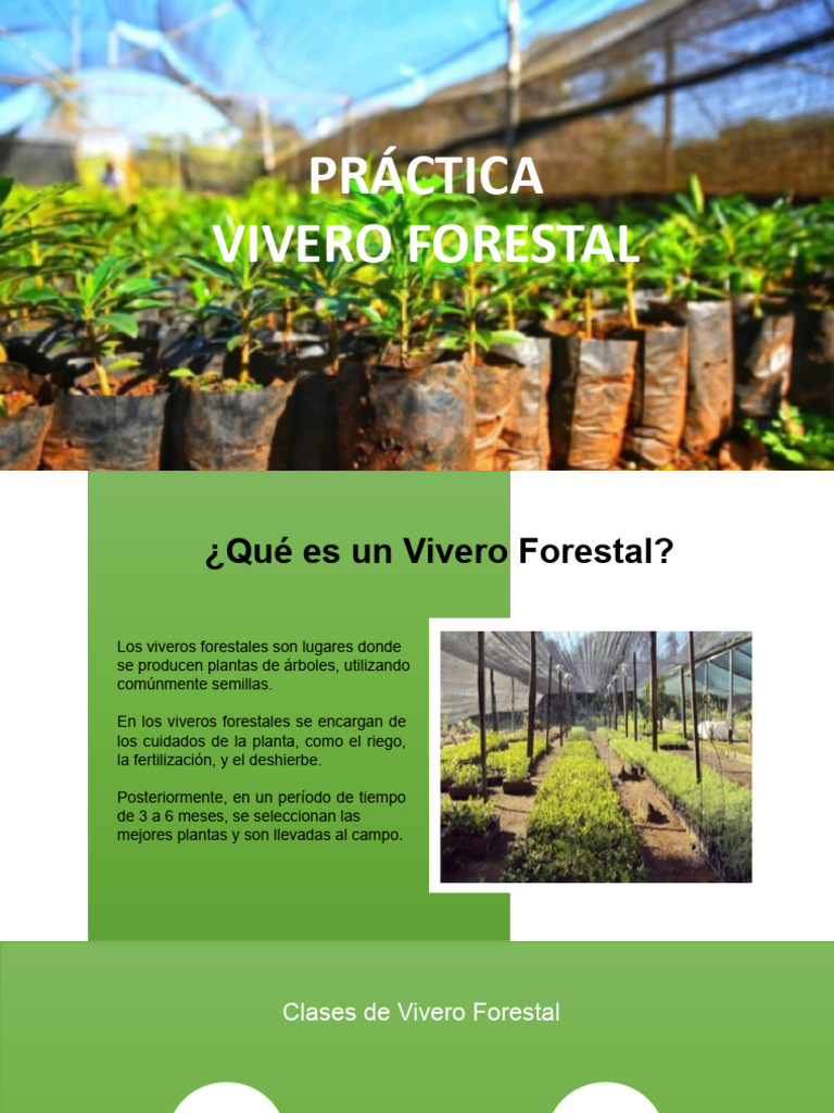 Presentaci-N Pr-Cticas Generales | PDF