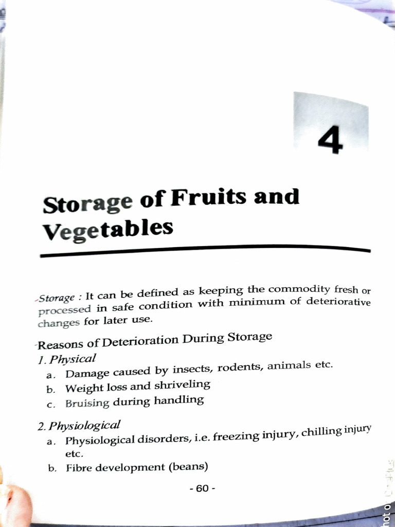 Storage of Fruits and Vegetables | PDF