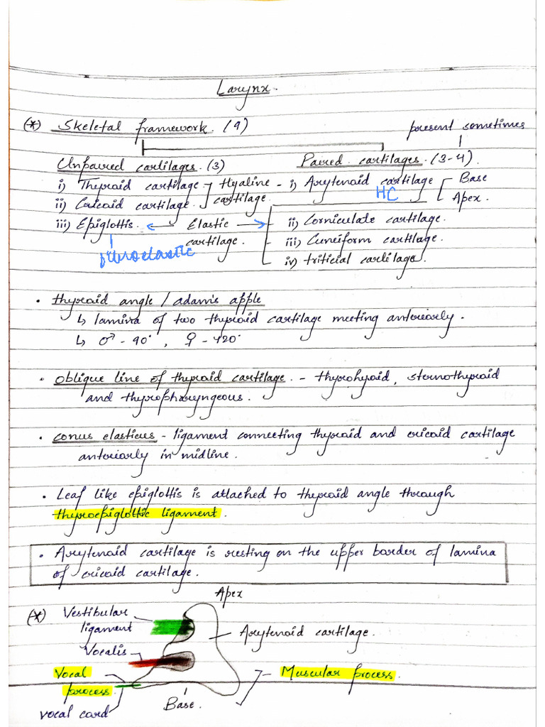 Larynx Pdf