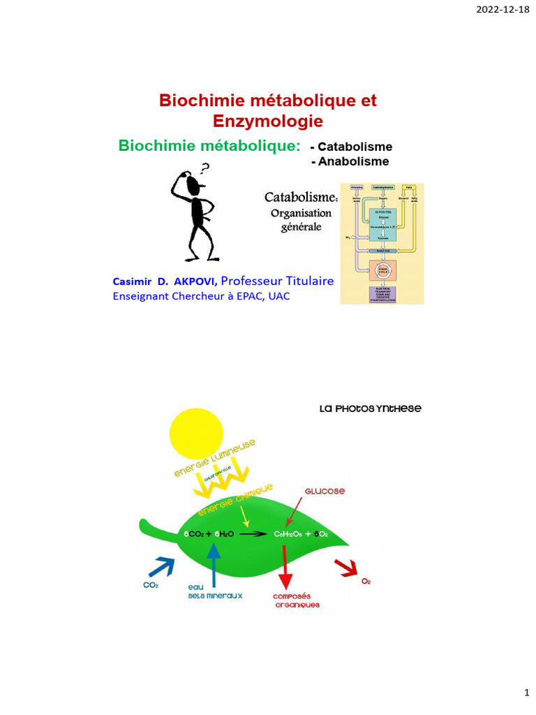 Biochimie métabolique et enzymologie | PDF | Protéines | Acide aminé