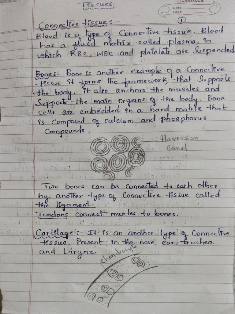 Scanned 20241003 202055 | PDF