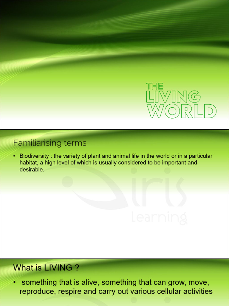 Living World | PDF