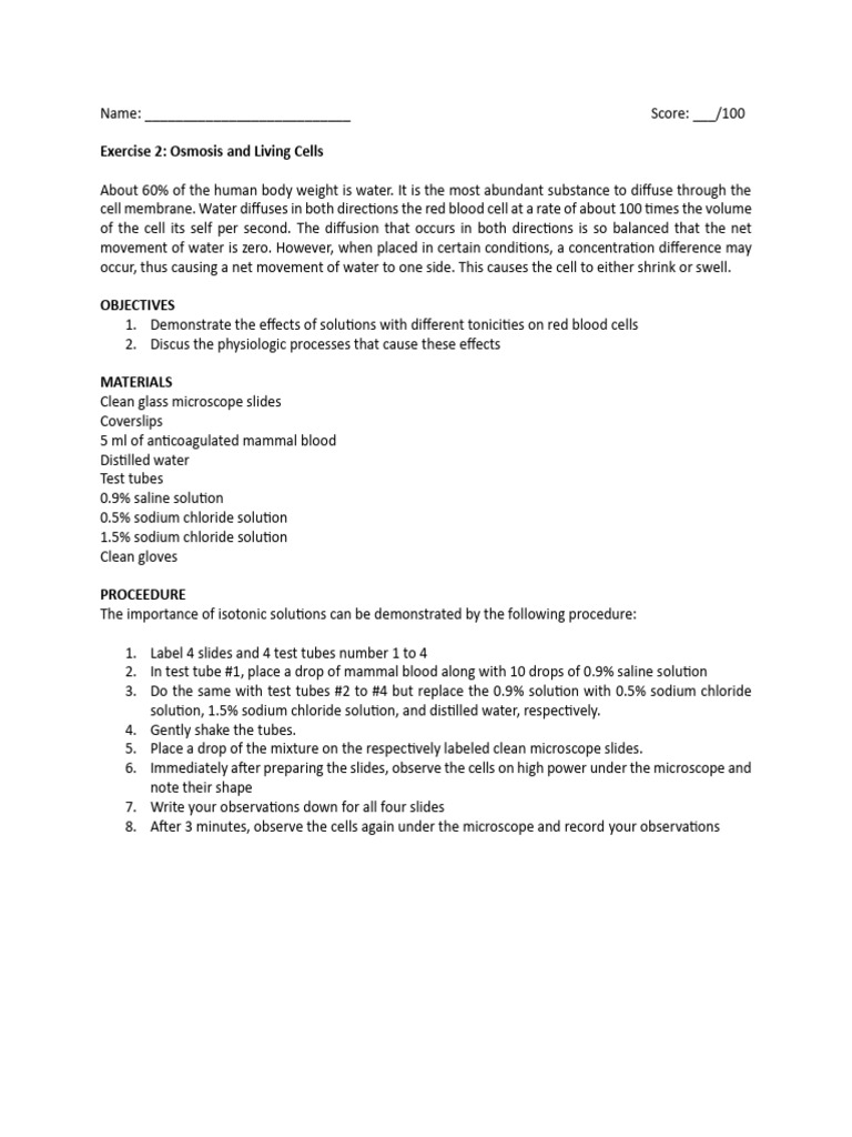 Microsoft Word - Exercise 2 | PDF
