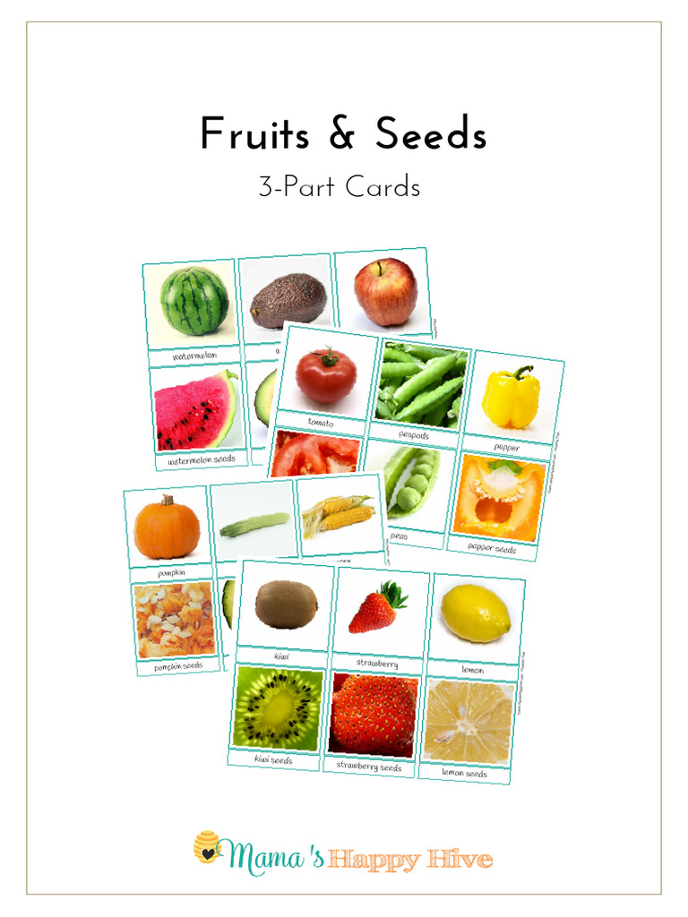 Fruits & Seeds 3-Part Cards | PDF