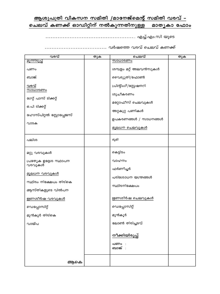HMC Audit proforma_copy | PDF