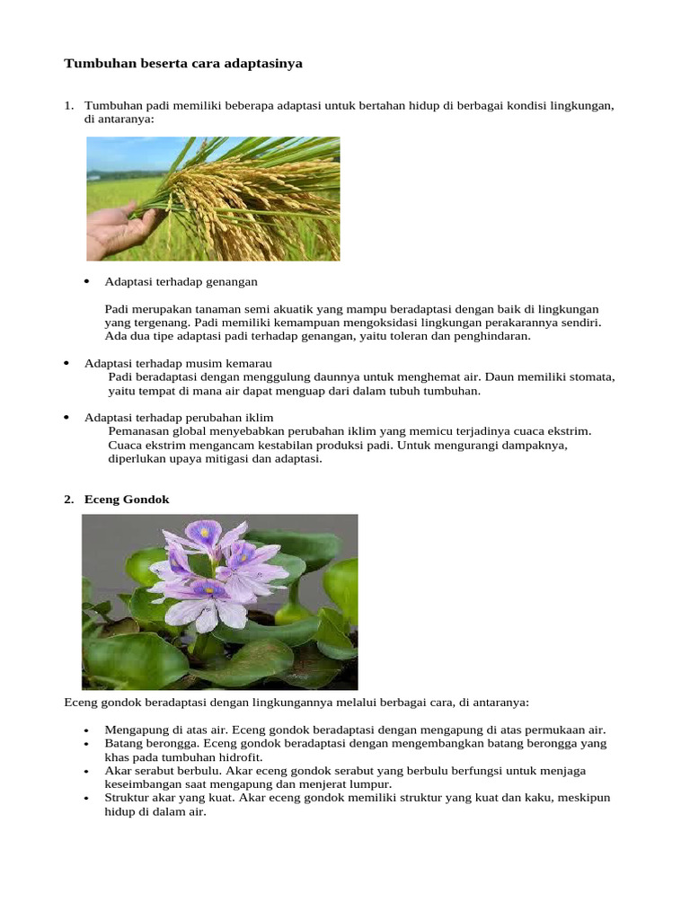 Tumbuhan Beserta Cara Adaptasinya 3 | PDF | Griya & Taman | Teknologi ...