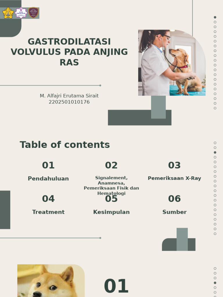 Gastro Dilatasi Volvulus | PDF