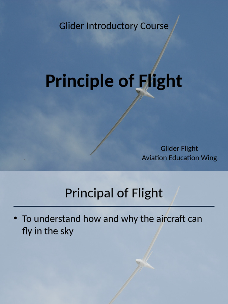 Principle of Flight | PDF