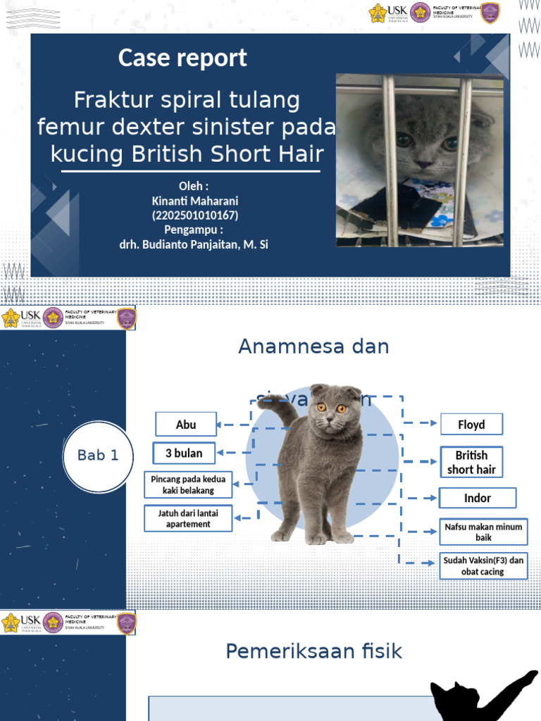 Fraktur Spiral Femur Dexter Et Sinister | PDF