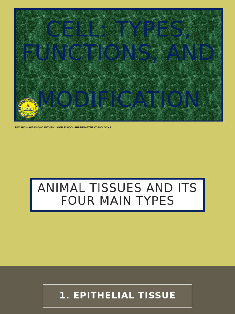Week 2 Cell Types Functions Modification | PDF