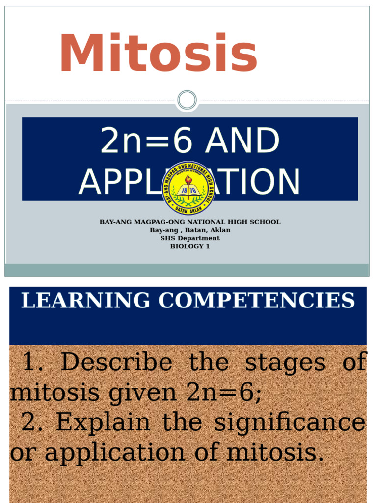 Week 4 Mitosis 2n6 Andapplication | PDF