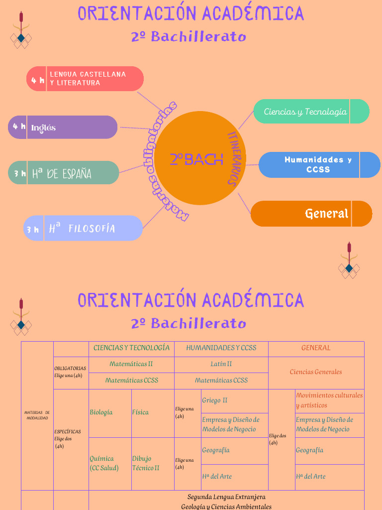 Orientacion Academica 2o Bach | PDF
