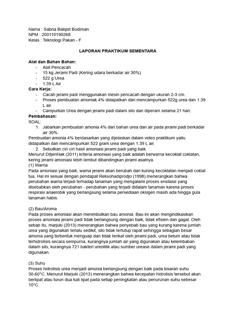 Sabna Balqist - 190268 - Laporan Sementara Amoniasi Jerami Padi | PDF ...