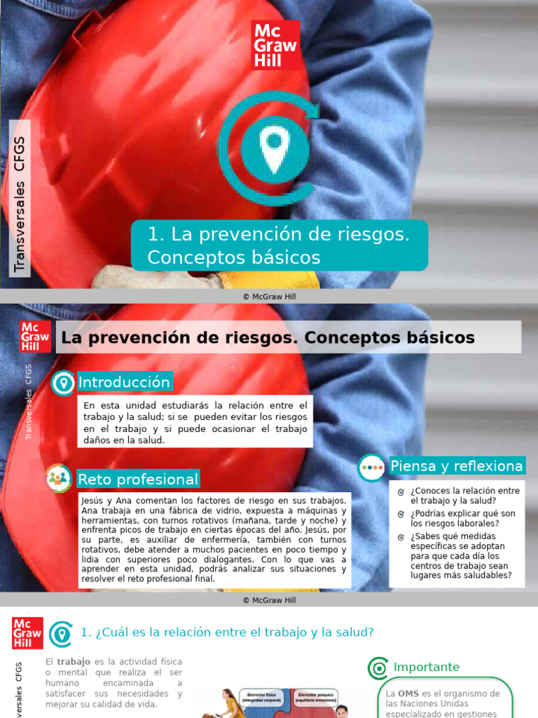 Prevencion de Riesgos .Conceptos Basicos | PDF