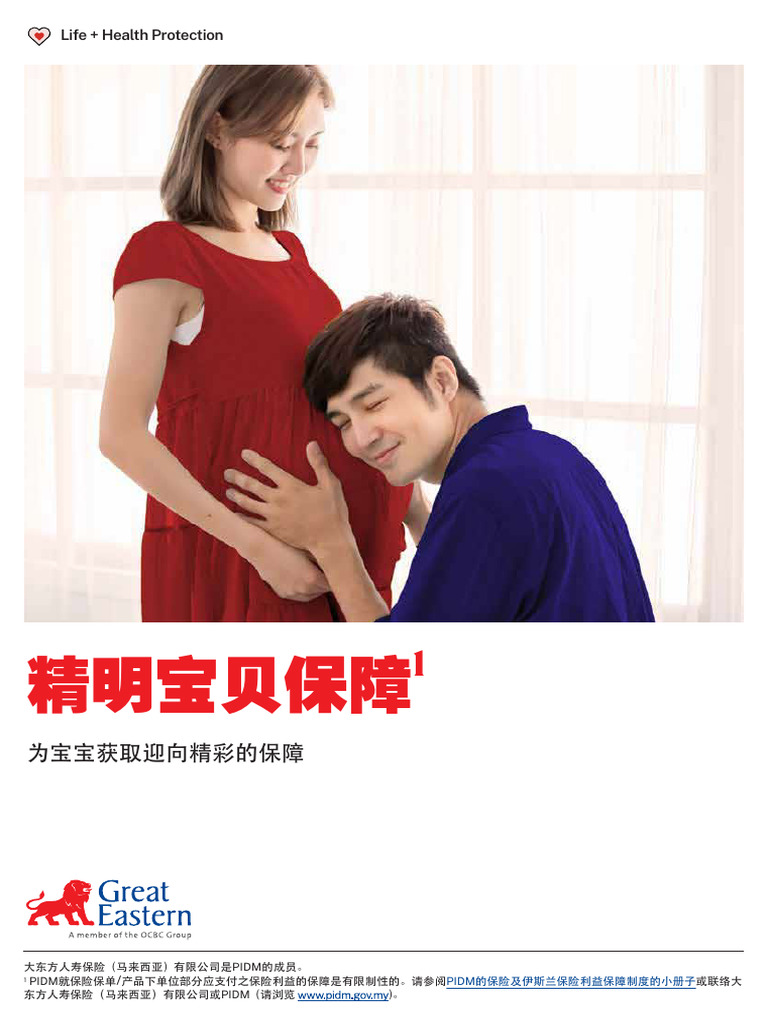 Smart Baby Shield Plus A4 - CN - Brochure - R2 | PDF