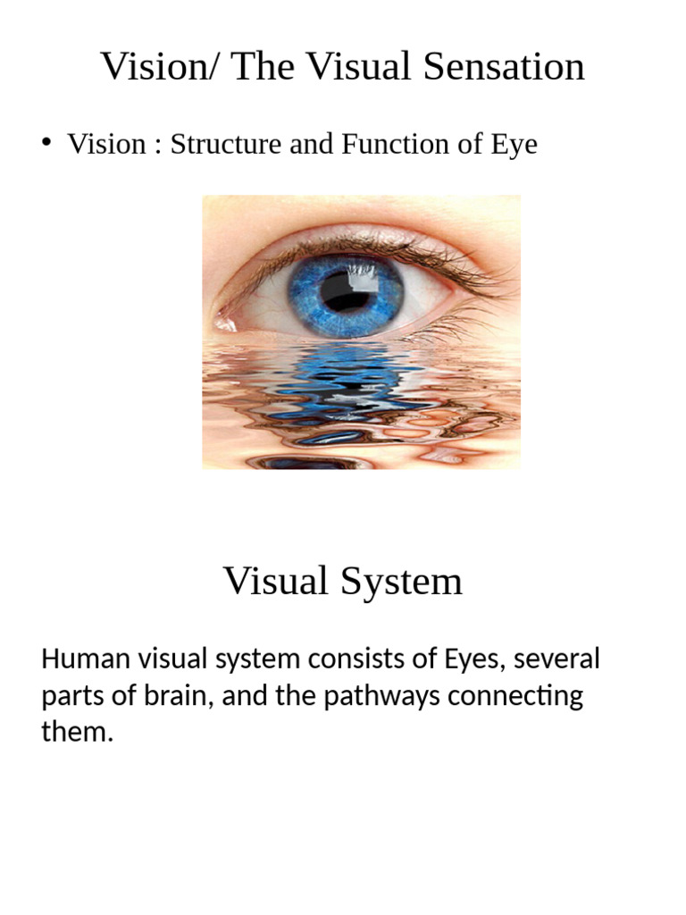 Vision/ The Visual Sensation: Vision: Structure and Function of Eye | PDF