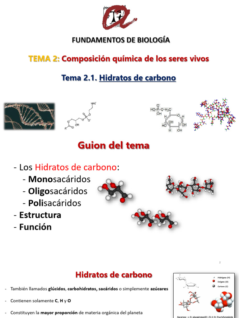 TEMA2.1 Glúcidos | PDF