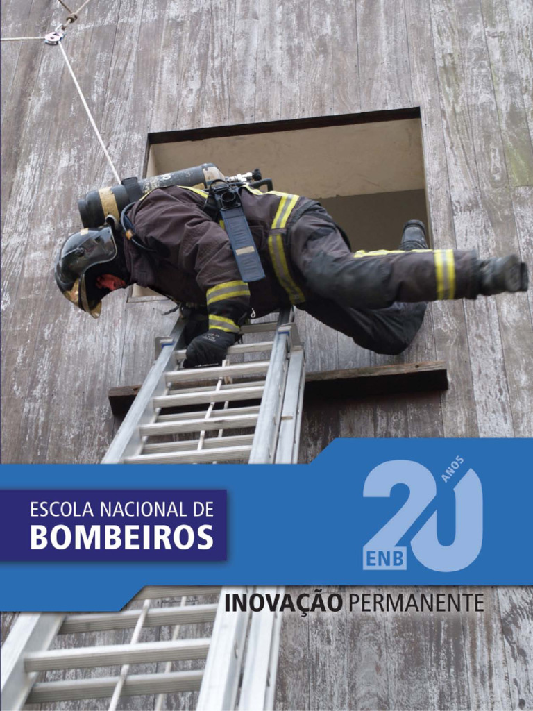 ENB 20anos3 | PDF