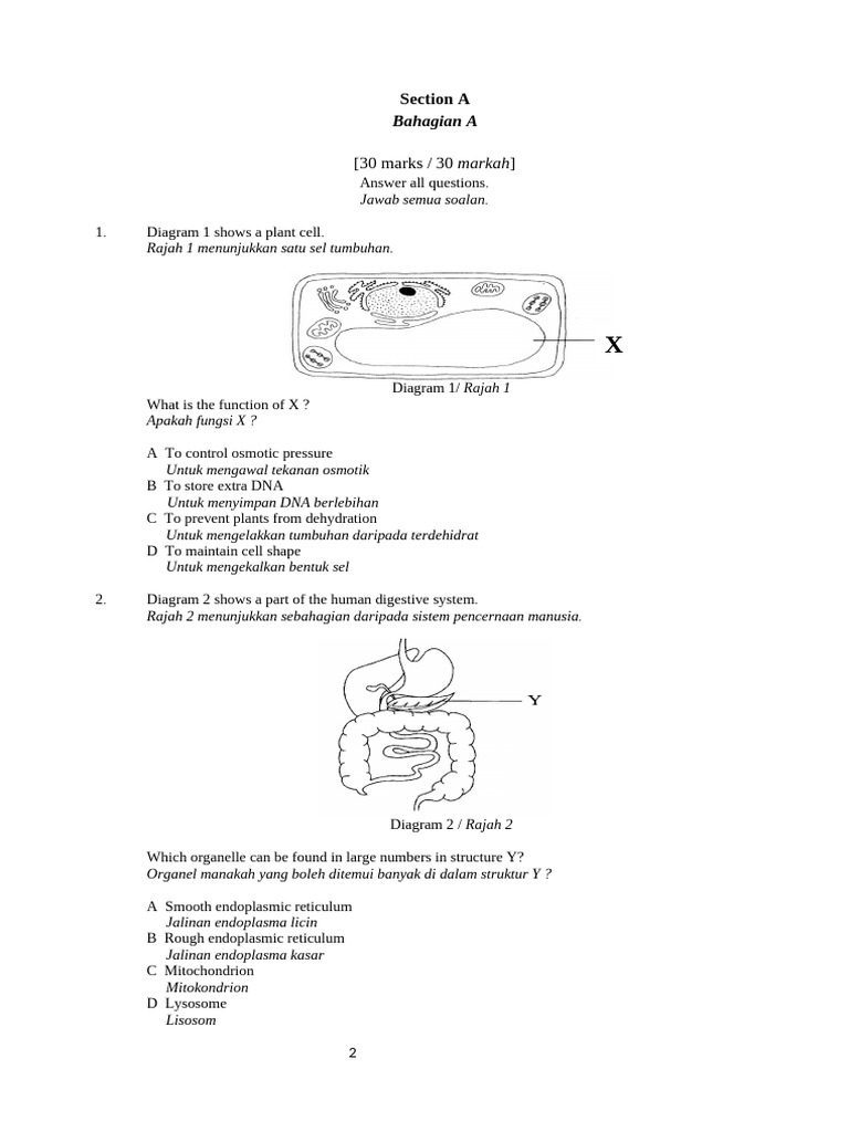 Ujian 1 Bio F5 | PDF