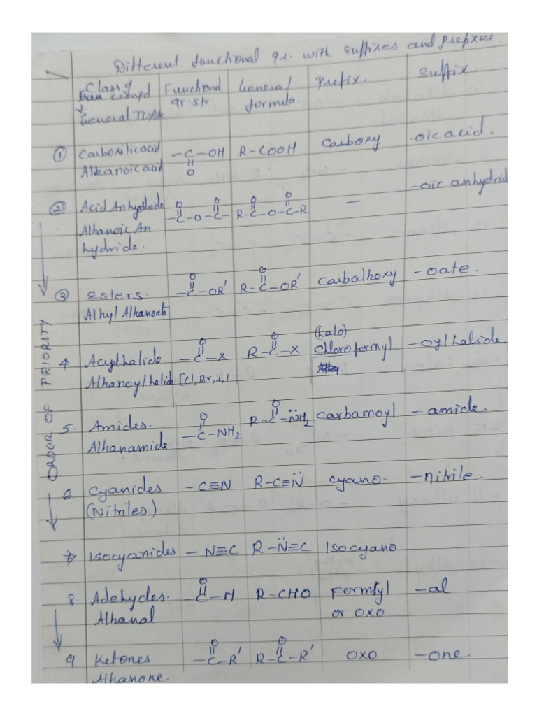 Priority of Functional School | PDF