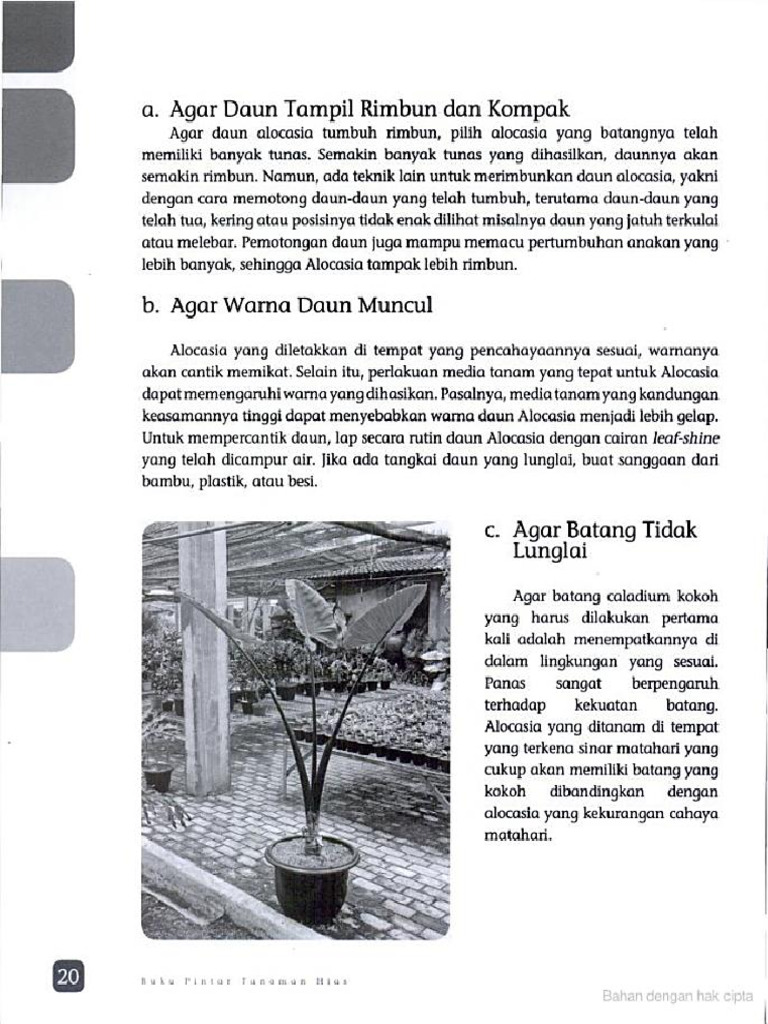 Ensiklopedia Tanaman-Halaman-25 | PDF